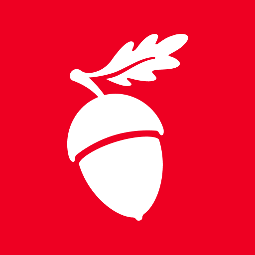 Why Study Art History: Culture, History, Society | Careers